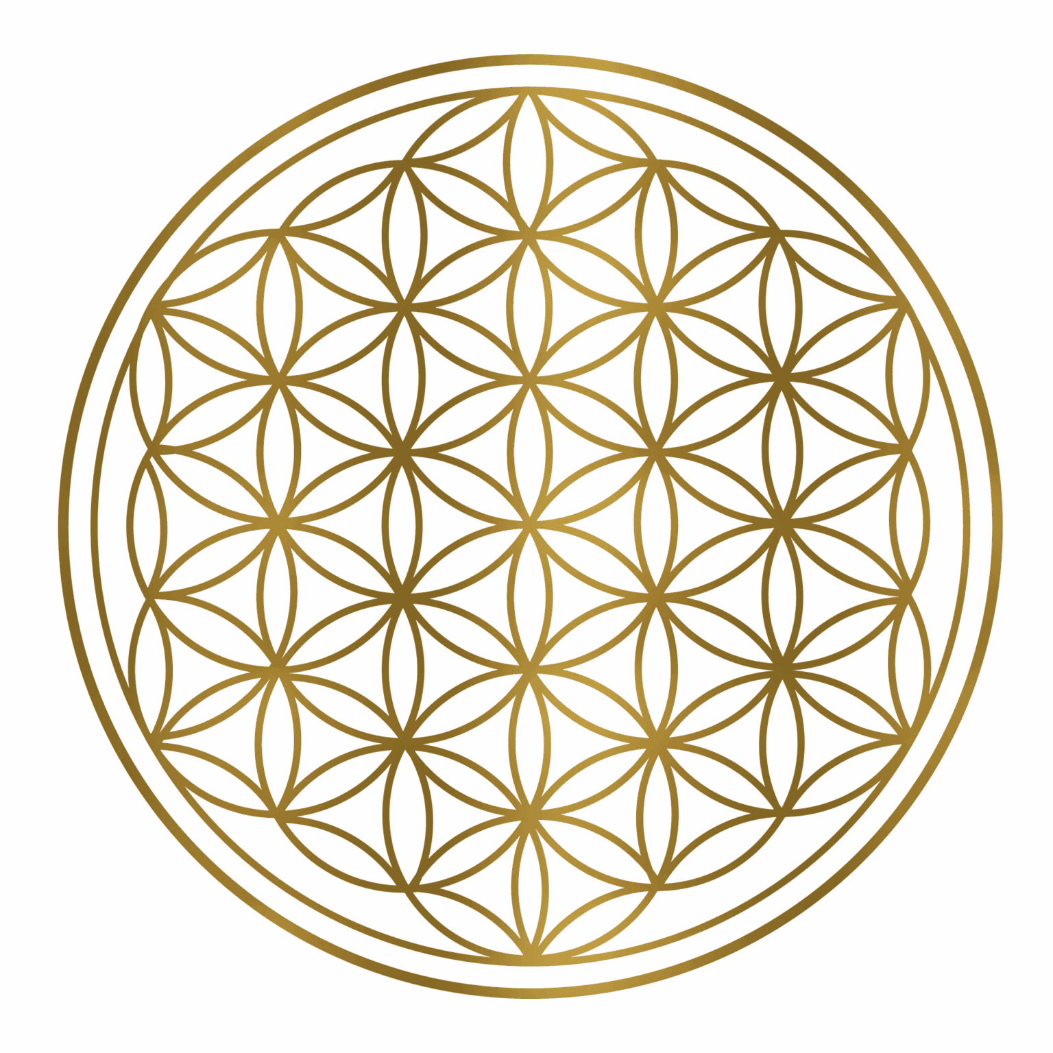 Light Without Naivety: Discernment and Sovereignty for Lightworkers ...