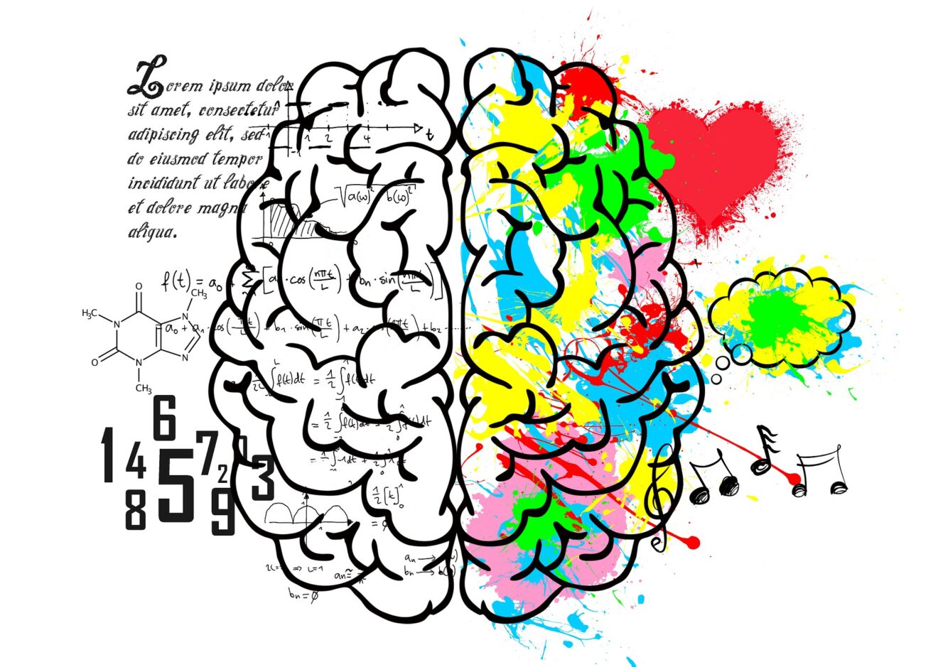 The Open Focus Brain: Shifting from Stress to Spacious Awareness ...